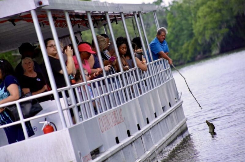 New Orleans: Swamp Tour on Covered Pontoon Boat - The Sum Up
