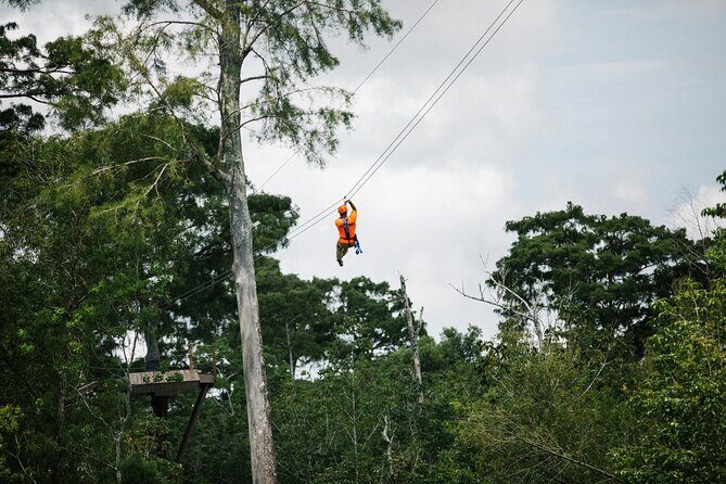 New Orleans Zipline Swamp Tour - Introduction
