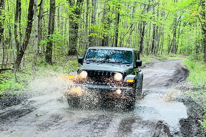 New River Gorge Jeep Tour (Half Day) - Exploring the Gorge