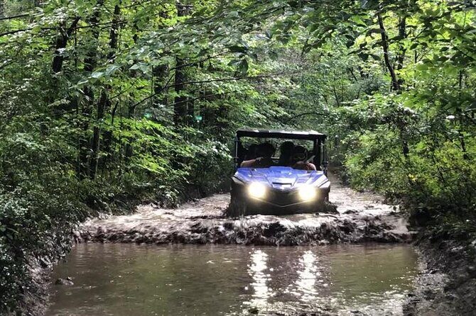 New River Gorge Side by Side Family Tour - Pricing and Overall Value