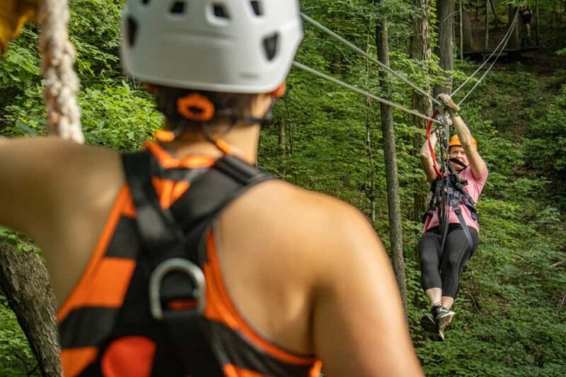 New River Gorge: TimberTrek Adventure Park Entry Ticket - Key Points