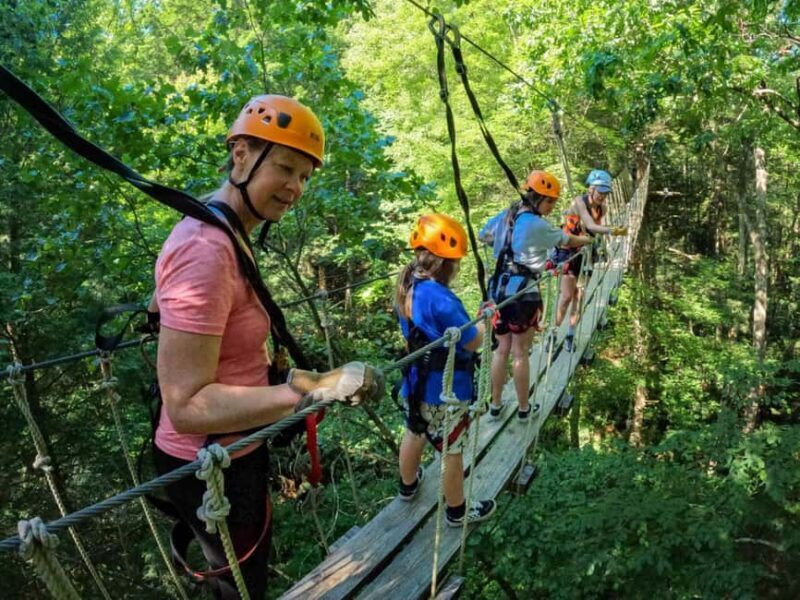 New River Gorge: TimberTrek Adventure Park Entry Ticket - An Introduction to TimberTrek Adventure Park