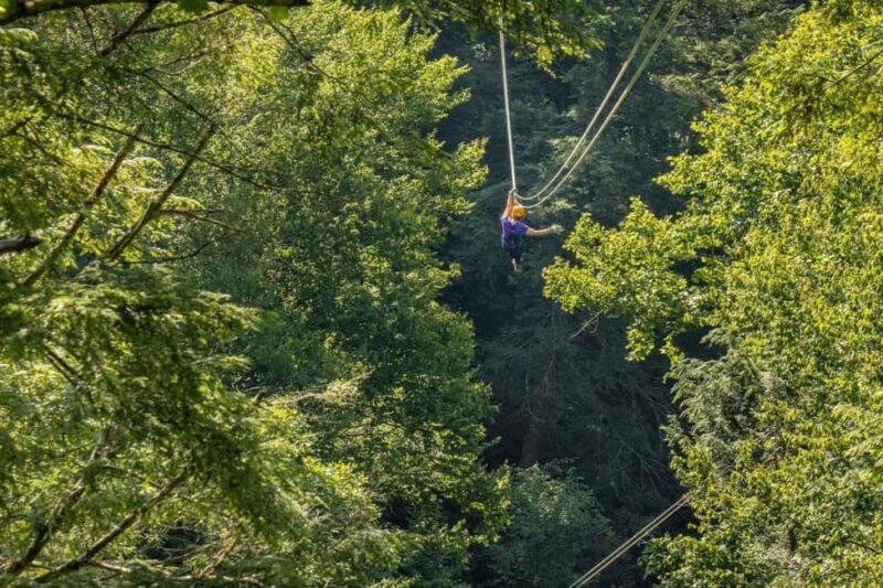 New River Gorge: TimberTrek Adventure Park Entry Ticket - Analyzing the Value of the Experience