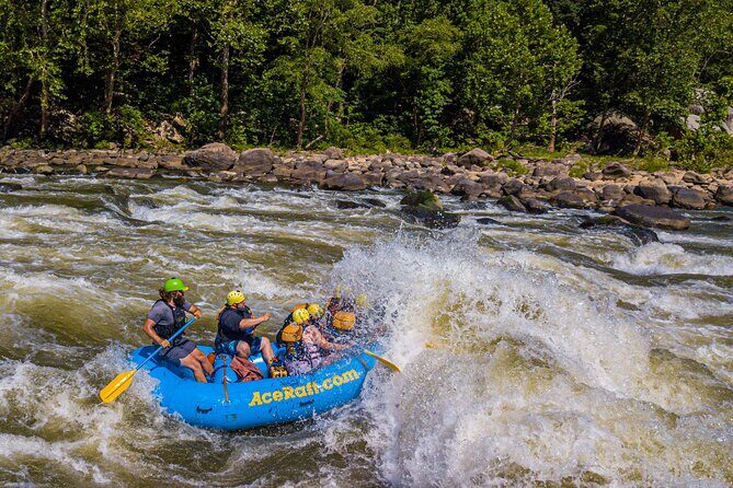 New River Gorge Whitewater Rafting, WV - Lower New Full Day - How the Experience Delivers Value
