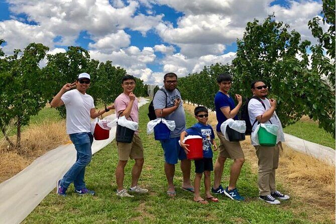 New South Wales Cherry Picking Tour - Who Will Appreciate This Tour?