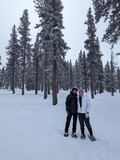 New Washoe City: Chickadee Ridge Beginner Snowshoeing Hike - Why You Should Consider This Experience