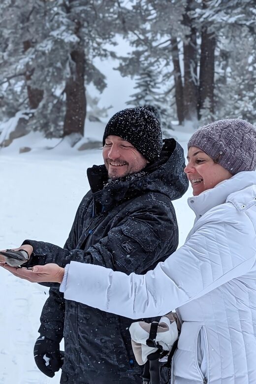 New Washoe City: Chickadee Ridge Beginner Snowshoeing Hike - What to Expect from the Chickadee Ridge Snowshoe Tour