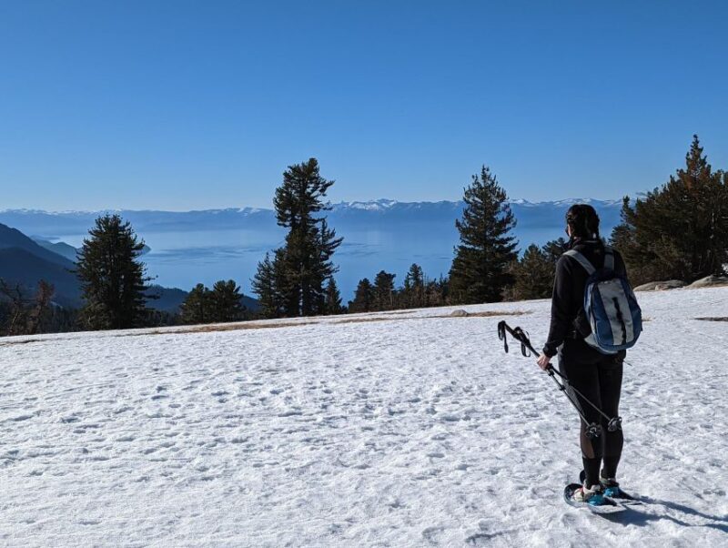 New Washoe City: Chickadee Ridge Beginner Snowshoeing Hike - The Highlights That Make This Tour Special