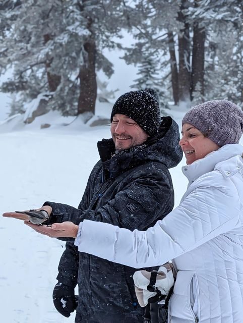 New Washoe City: Chickadee Ridge Beginner Snowshoeing Hike - Reading the Reviews: Authentic Perspectives