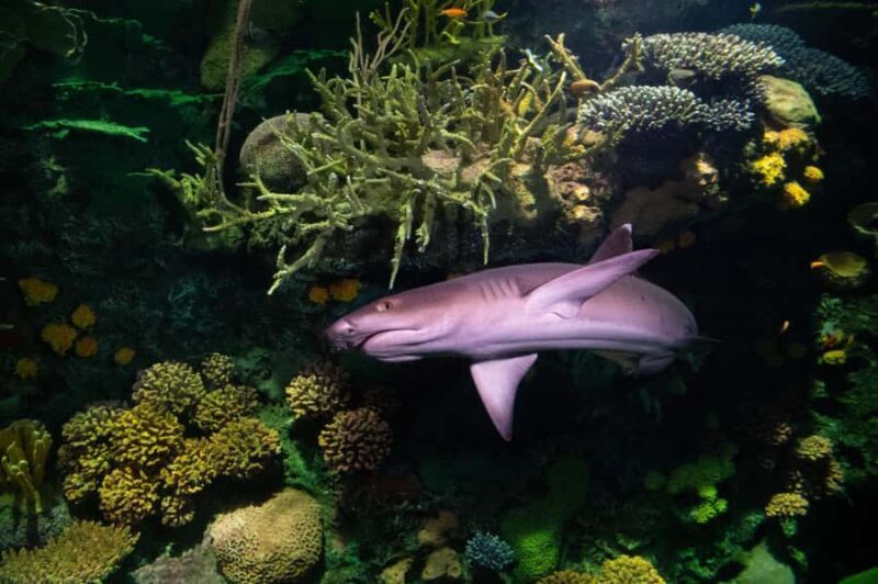 New York Aquarium Entry Ticket - Key Points