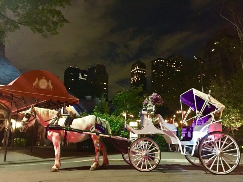 New York: Carriage Ride in Central Park - Who Will Enjoy This Experience?
