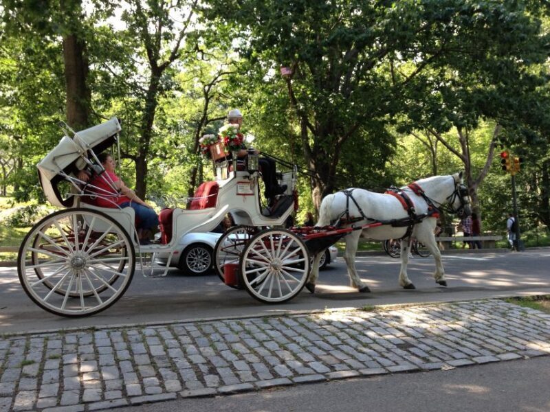 New York: Carriage Ride in Central Park - Final Thoughts: Is a Carriage Ride in Central Park Worth It?