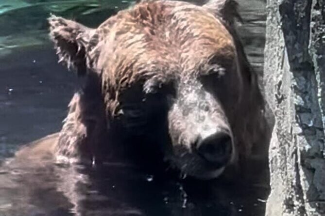 New York Central Park Zoo Ticket - The Experience in Detail