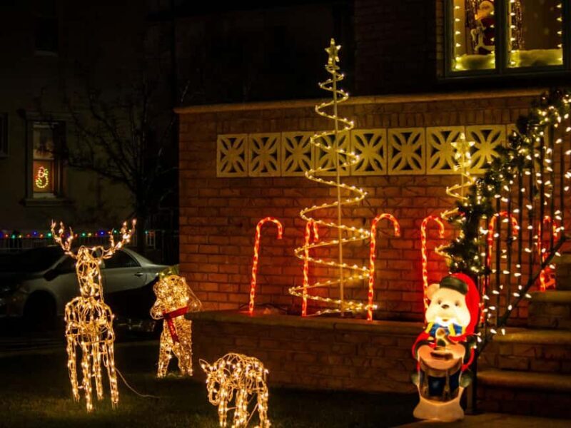 New York Christmas Lights Tour by BUS - A Deep Dive into the Tour Experience