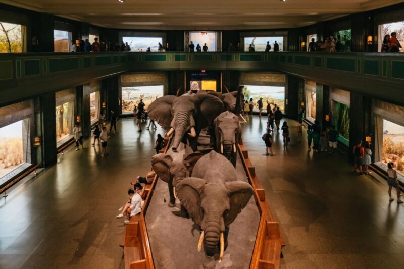 New York City: American Museum of Natural History Ticket - An Overview of What You Can Expect