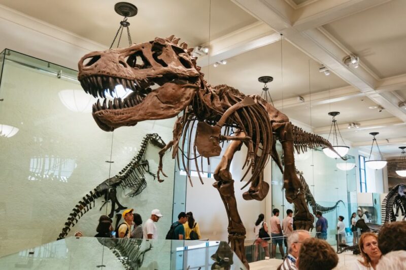 New York City: American Museum of Natural History Ticket - Practical Tips for Visiting
