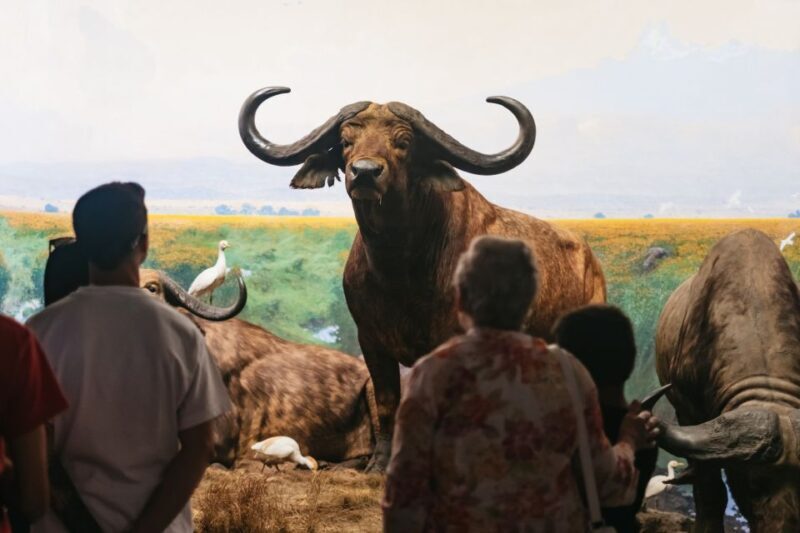 New York City: American Museum of Natural History Ticket - Authentic Experiences from Visitors
