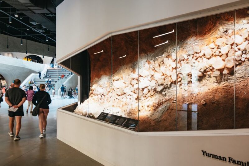 New York City: American Museum of Natural History Ticket - The Sum Up: Who Will Love This Museum?