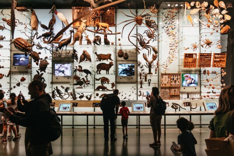 New York City: American Museum of Natural History Ticket - The Experience in Depth