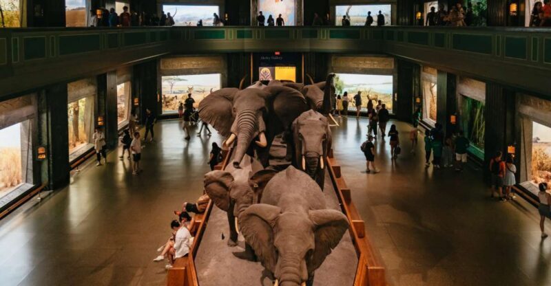 New York City: American Museum of Natural History Ticket - Final Thoughts