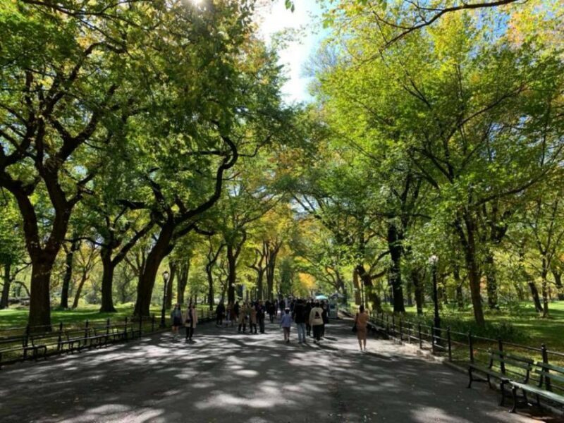New York City: Central Park Highlights Walking Tour - Detailed Insights from Reviewer Perspectives