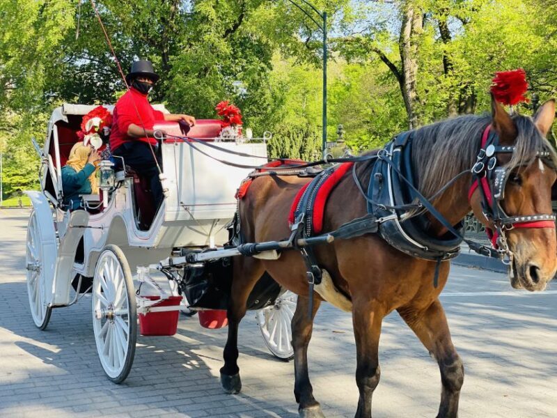 New York City: Central Park Private Horse and Carriage Tour - Introduction