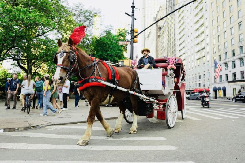 New York City: Central Park Private Horse and Carriage Tour - Key Points