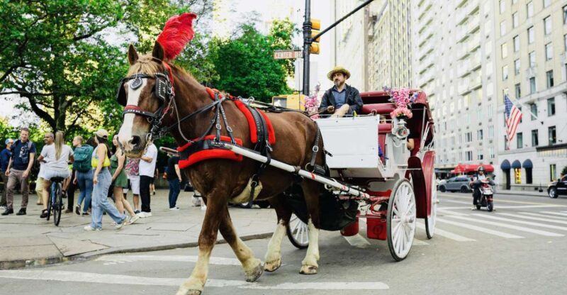 New York City: Central Park Private Horse and Carriage Tour - The Itinerary in Detail