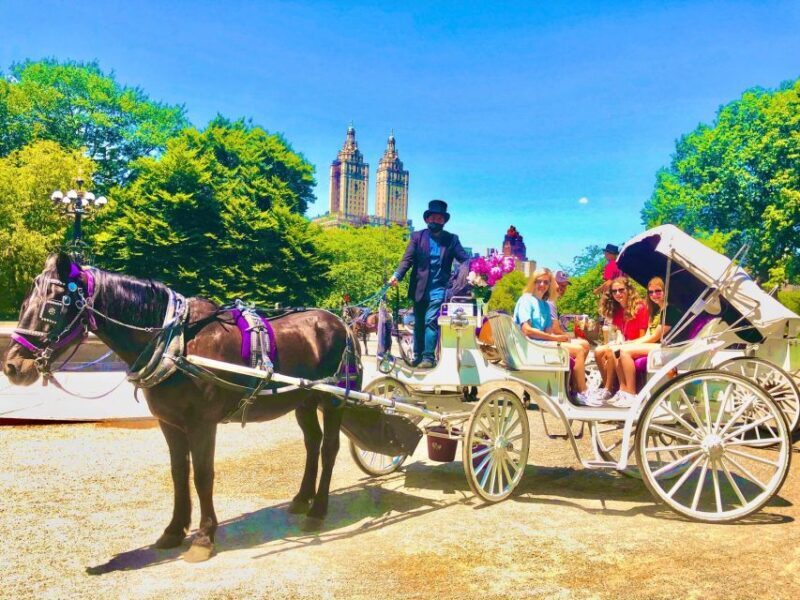 New York City: Central Park Private Horse and Carriage Tour - Authentic Perspectives from Travelers
