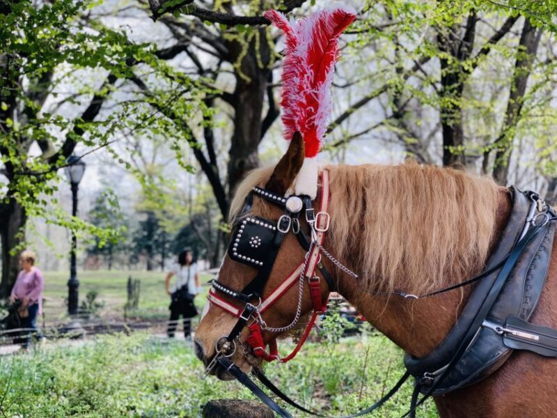 New York City: Central Park Private Horse and Carriage Tour - FAQs