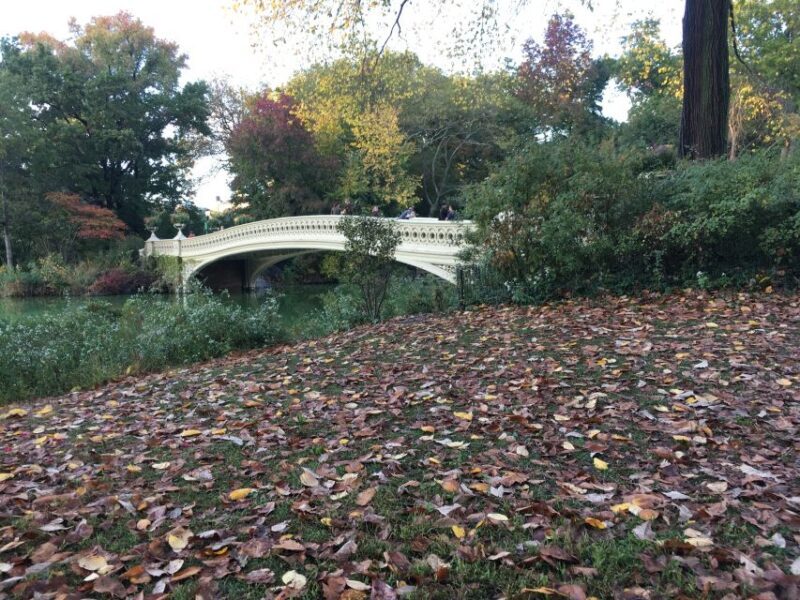 New York City: Central Park Tour by Pedicab - Comfort & Weather Preparedness