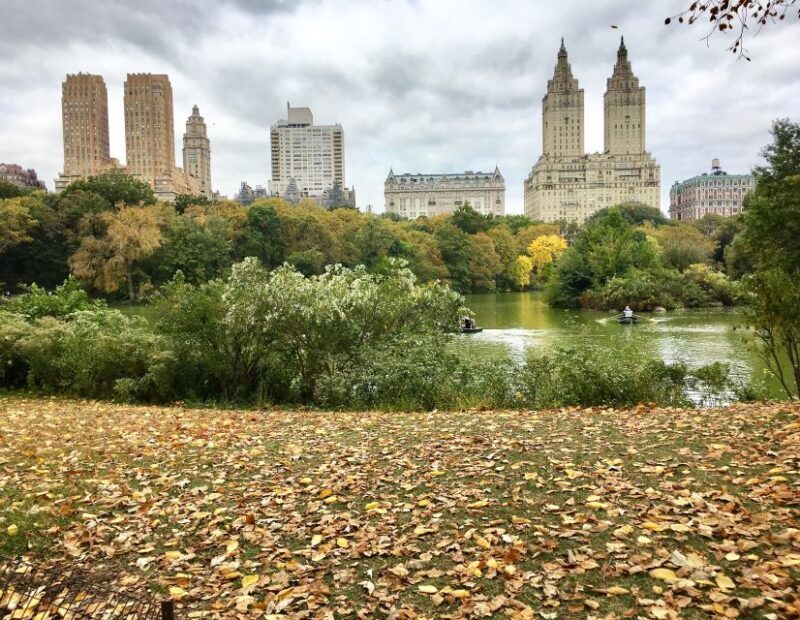 New York City: Central Park Tour by Pedicab - Pricing & Overall Value