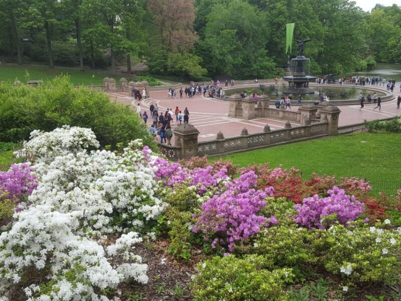 New York City: Central Park Walking Tour - The Practicalities