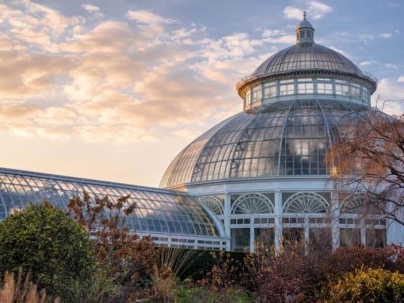 New York City : Central Park Walking Tour With A Guide - Key Points