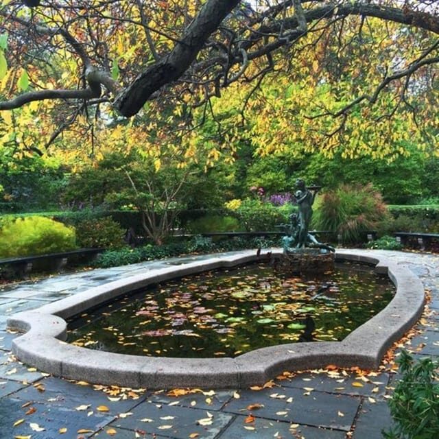 New York City : Central Park Walking Tour With A Guide - The Value in the Details