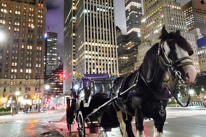 New York City Christmas Lights Private Horse Carriage Ride - Frequently Asked Questions