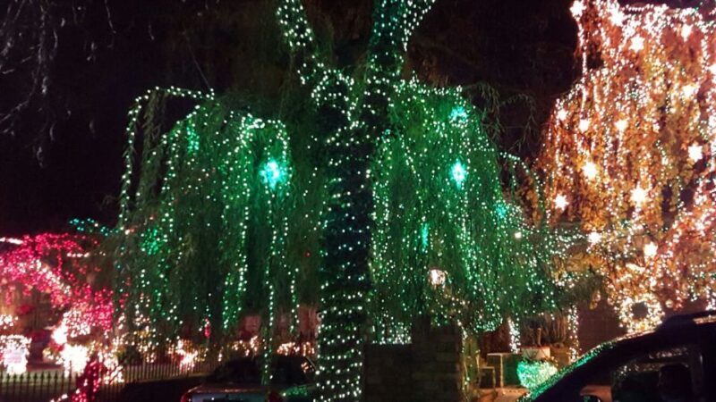 New York City: Dyker Heights Christmas Lights Tour - Why Travelers Find This Tour Valuable