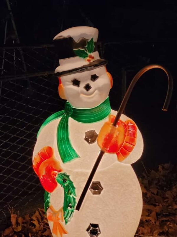 New York City: Dyker Heights Christmas Walking Tour - What to Expect in Terms of Comfort and Practicalities