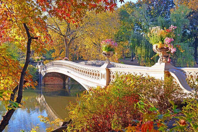 New York City Guided Electric Scooter Tour of Central Park - Introduction