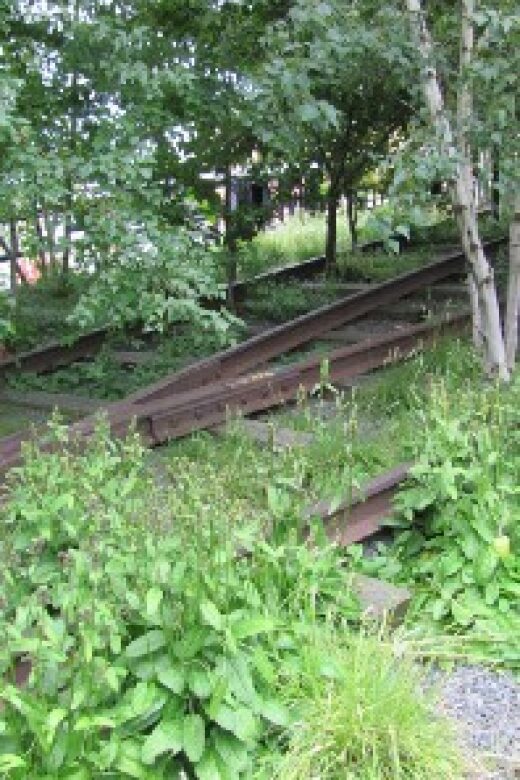 New York City: High Line Walking Tour - The Basics of the High Line Walking Tour