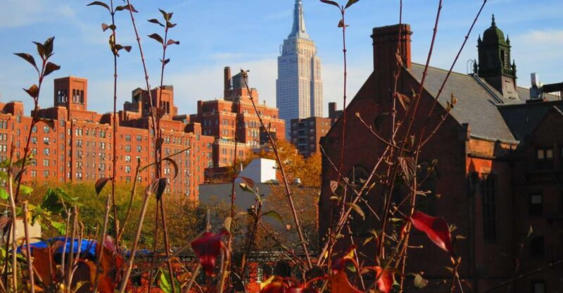 New York City: High Line Walking Tour - Why This Tour Works for Travelers