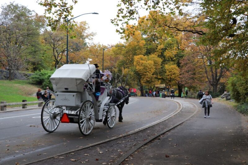 New York City: Horse Carriage Ride through Central Park - A Charming Ride Through Central Park: Horse Carriage Tour Review