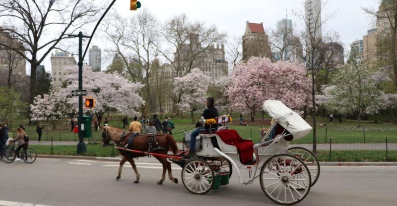 New York City: Horse Carriage Ride through Central Park - Summary of the Experiences Strengths and Considerations