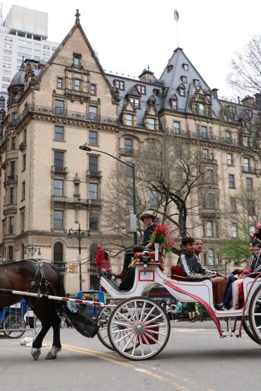 New York City: Horse Carriage Ride through Central Park - The Sum Up: Who Will Love This Tour?
