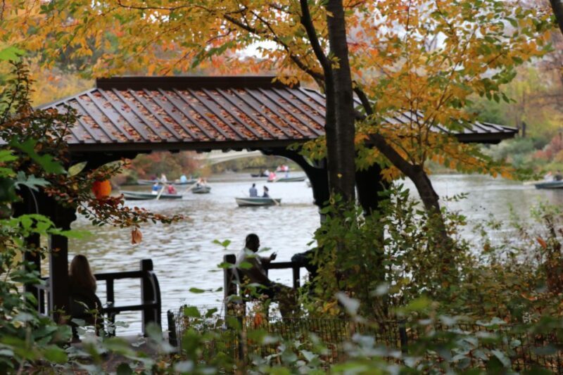 New York City: Horse Carriage Ride through Central Park - Frequently Asked Questions (FAQs)