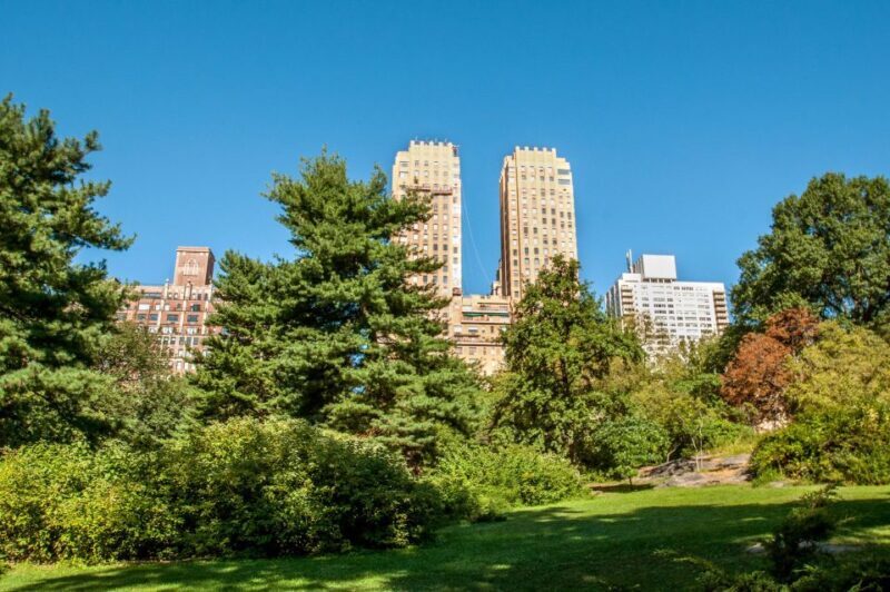 New York City: Private Tour with a Local Guide - The Experience’s Limitations