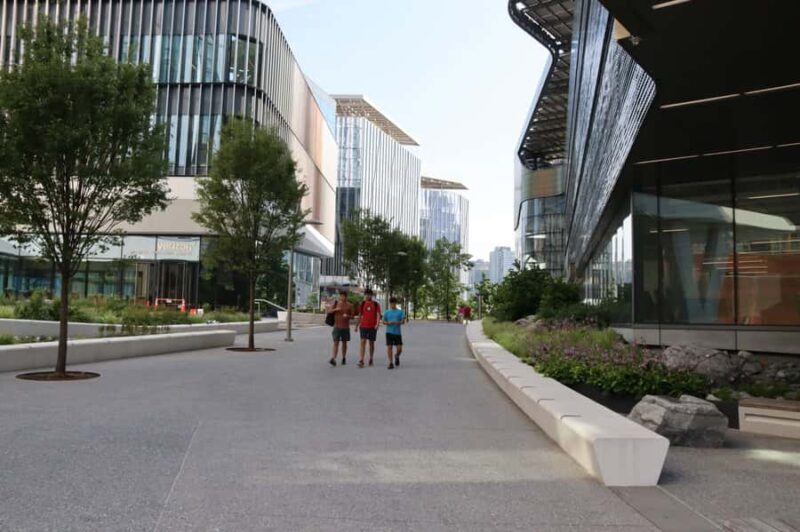 New York City: Roosevelt Island Walking Tour with Tram Ride - The Experience in Practice