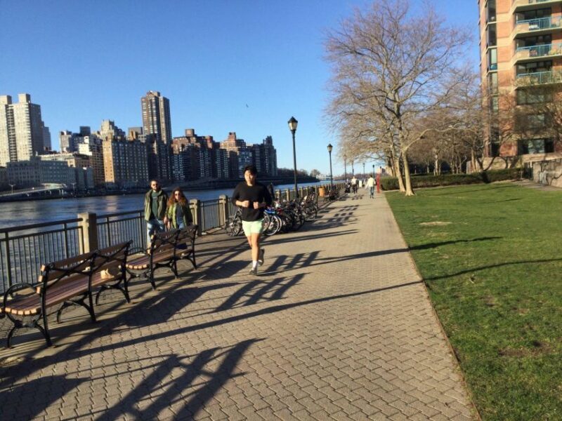 New York City: Roosevelt Island Walking Tour with Tram Ride - The Overall Experience and Group Size