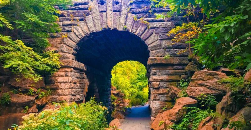 New York City: Secret Places of Central Park Walking Tour - The Value of the Experience and Practical Details