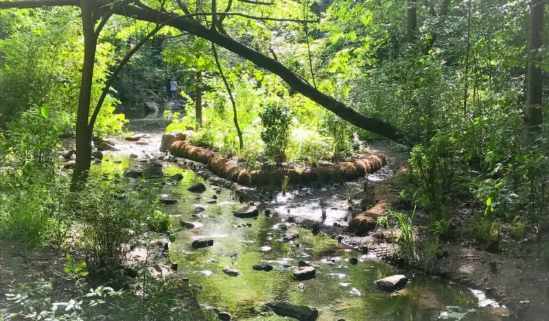 New York City: Secret Places of Central Park Walking Tour - Who Should Take This Tour?